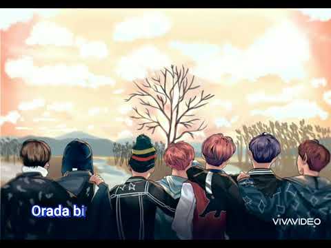 BTS - Spring Day (Türkçe Çeviri)