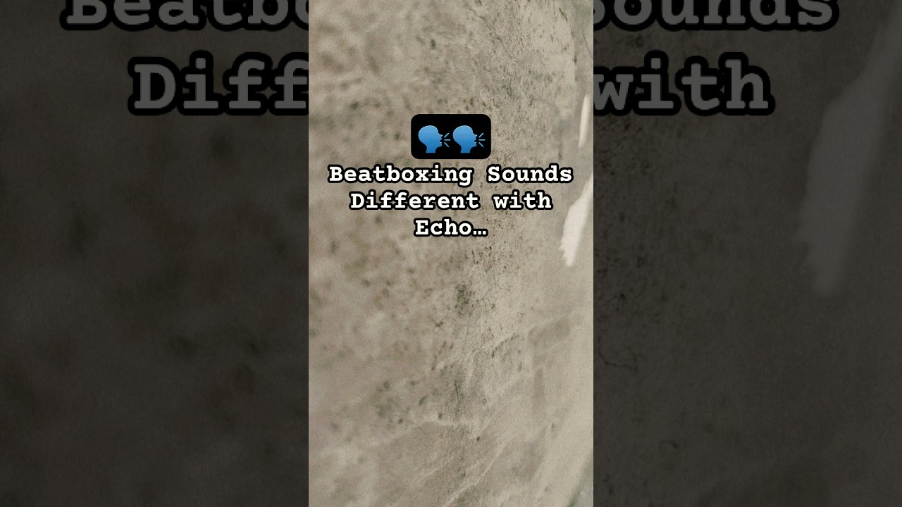 Beatboxing with Echo !! #tiktok #beatbox - YouTube