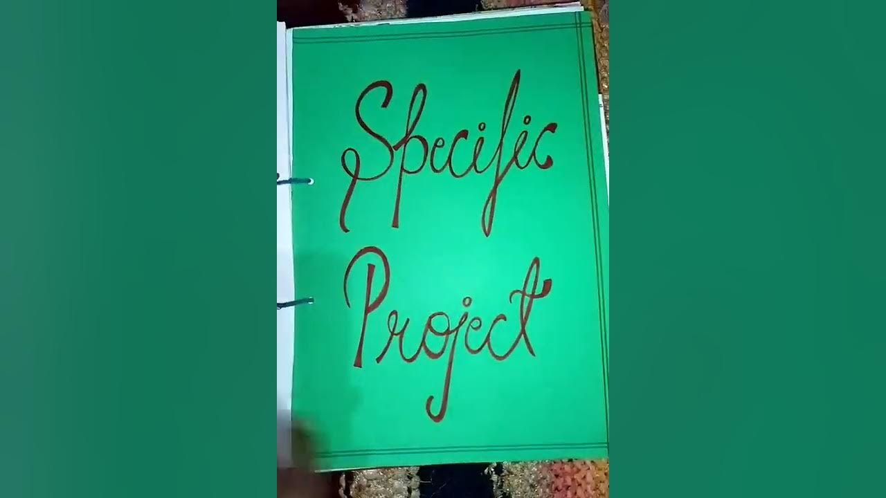 Accountancy comprehensive and specific both project file for class 12th ...