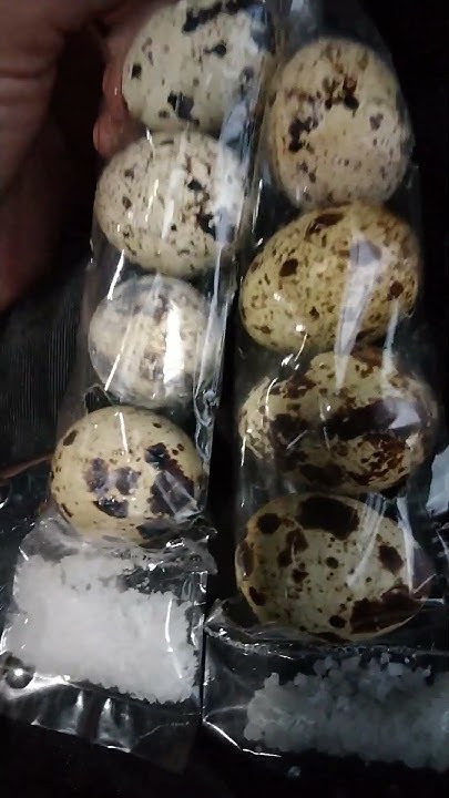 itlog pugo - YouTube