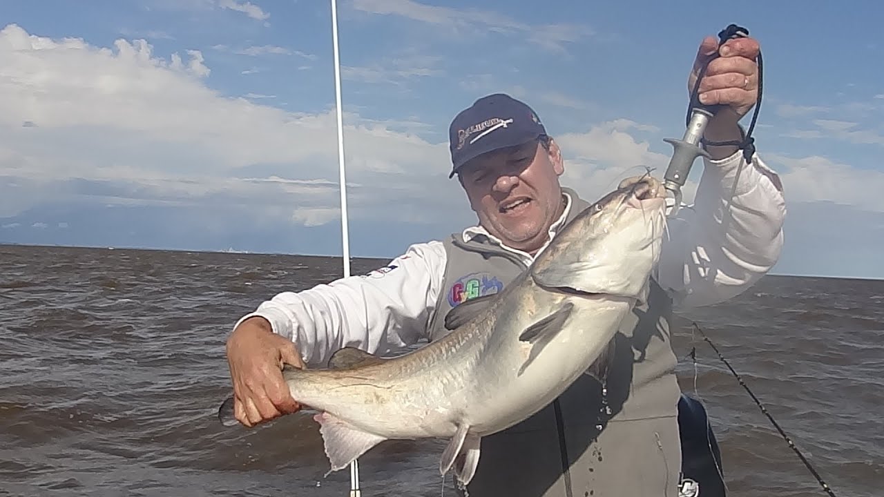 Lindo Bagre de Mar - YouTube