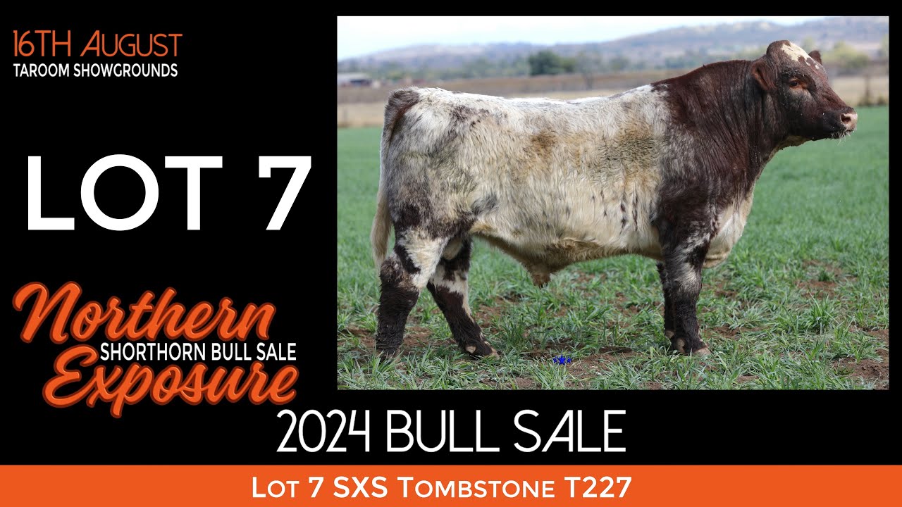 Lot 7 SXS Tombstone T227 - YouTube