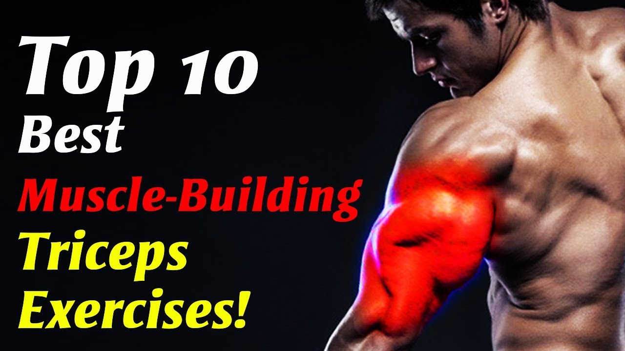 Top 10 Best Muscle Building Triceps Exercises! | Best Triceps Workouts ...