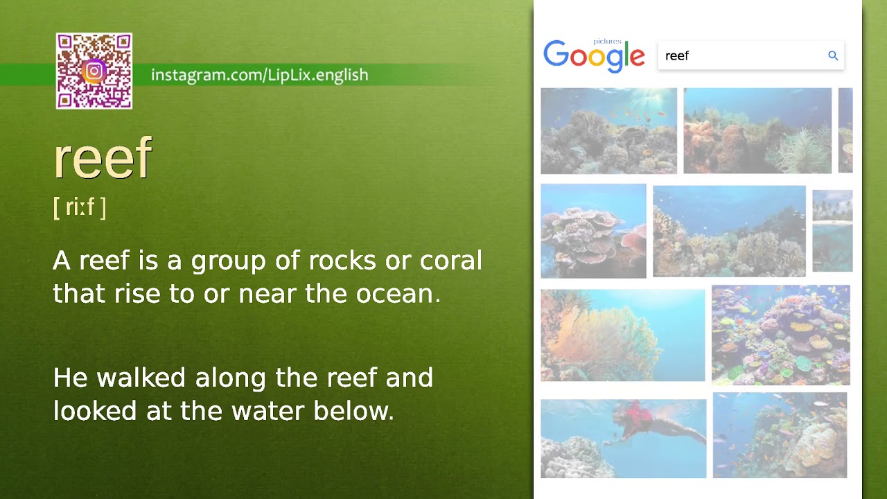 Reef : b2 level english vocabulary lesson, www.LipLix.com - YouTube