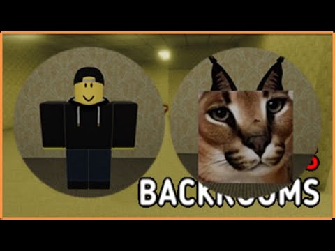 Cómo tener los emblemas: "Evade Human" y "Floppa" en 🏡BrookhavenRP ...