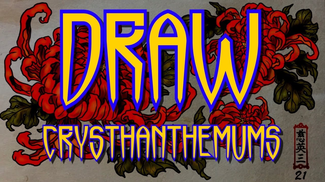 How to draw chrysanthemum or Kiku Japanese tattoo design - YouTube