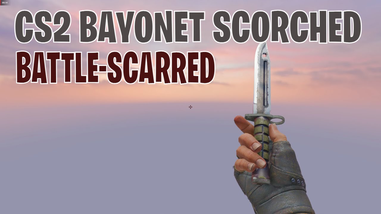 Bayonet Scorched (Battle-Scarred) | CS2 Skin Showcase #341 - YouTube
