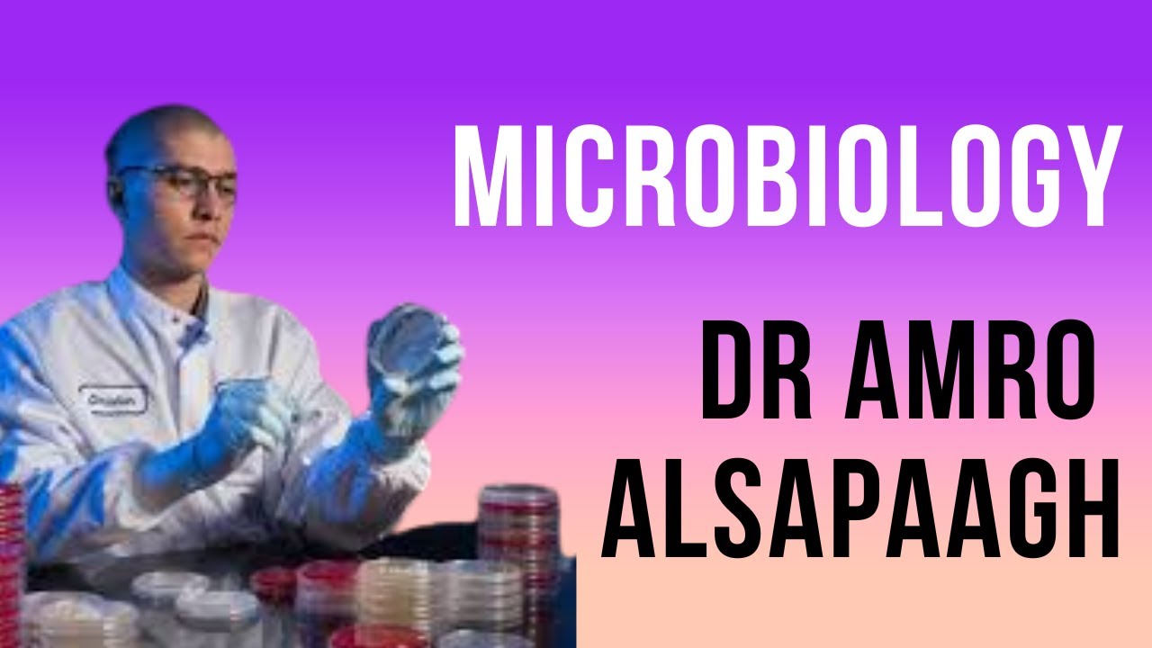 37.Dr Amr El Sabbagh_Systemic_7 coryn Systemic - YouTube