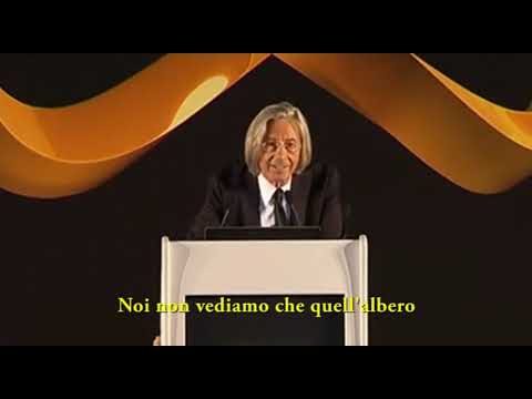 Elio D'Anna - The Tree of Life.
