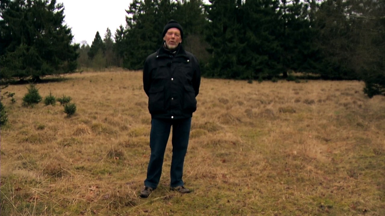 Hvidsten Gruppen - Mustard Point - YouTube