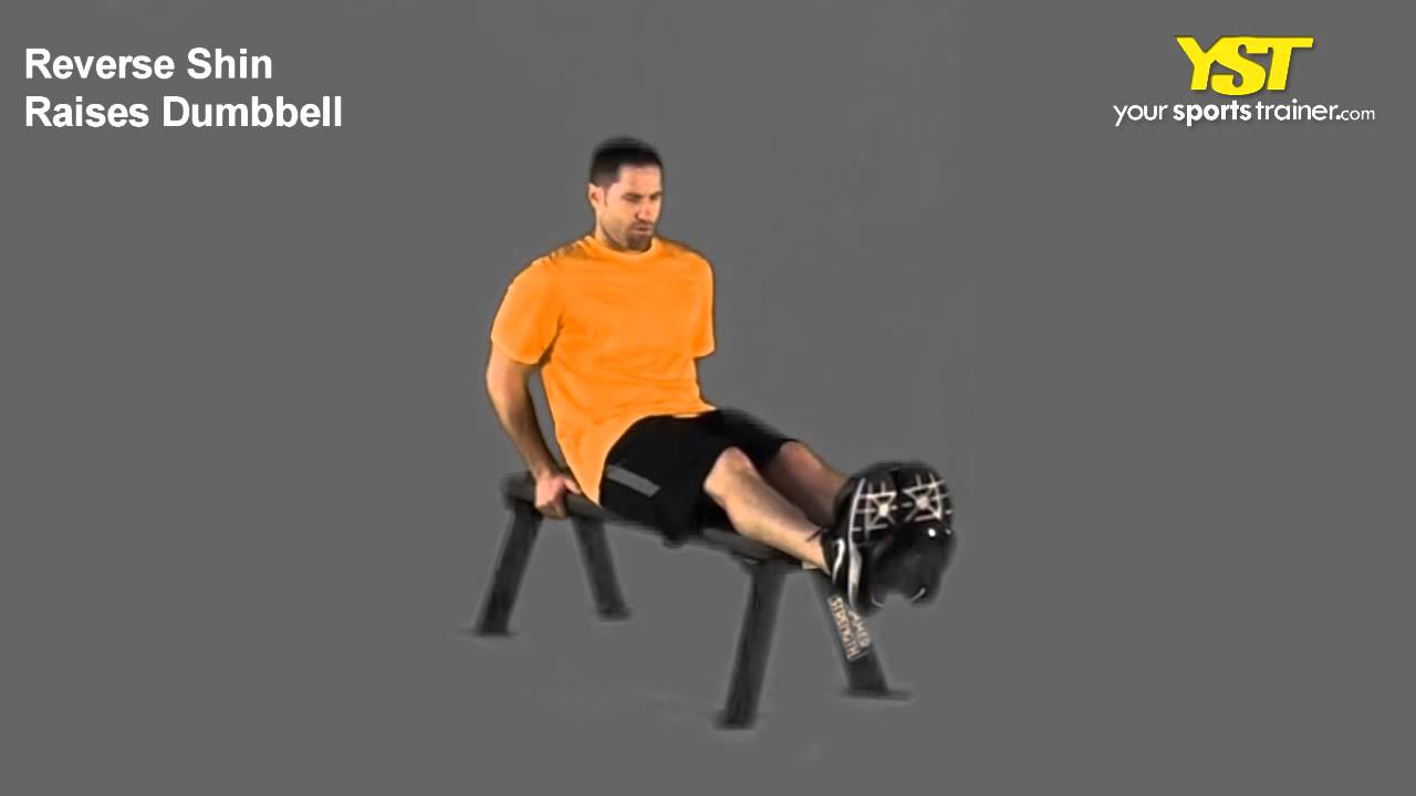 Reverse Shin Raises Dumbbell - YouTube