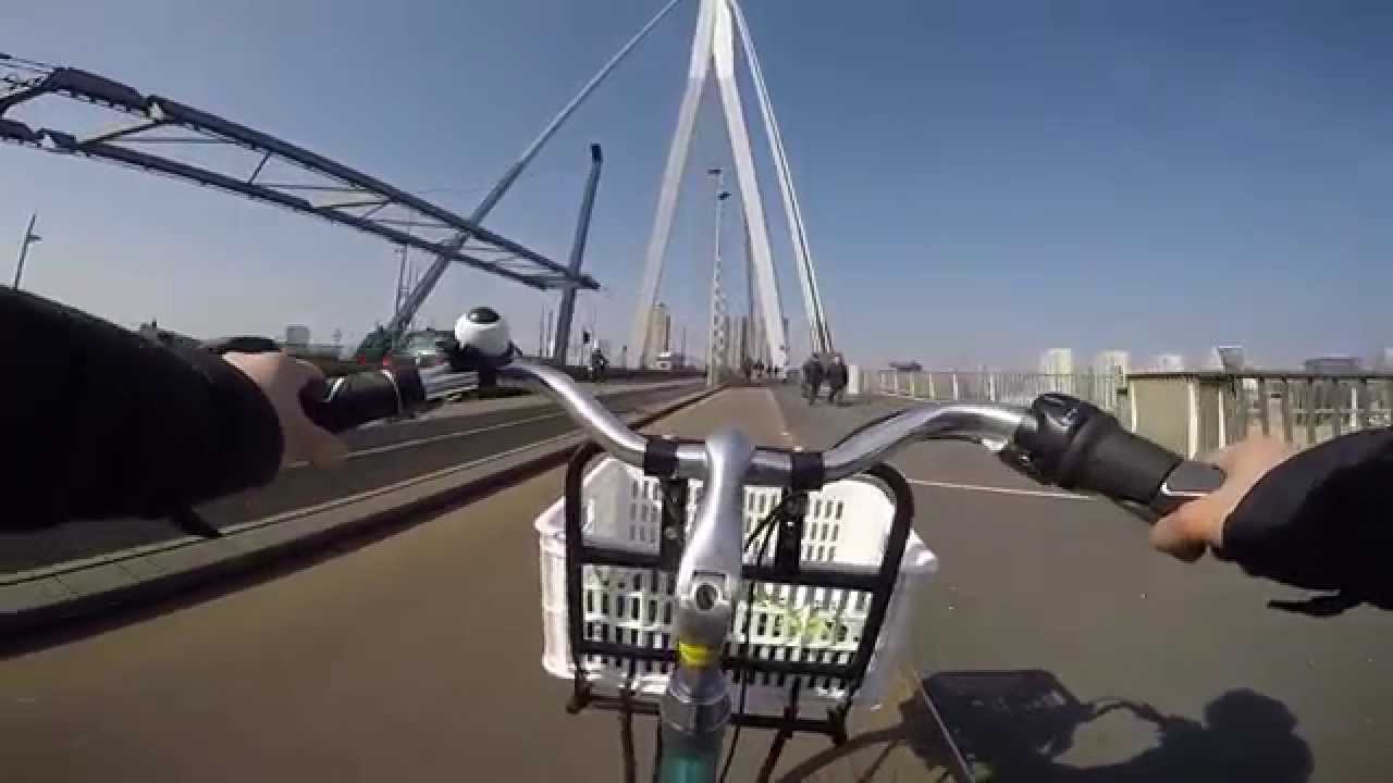 Rotterdam Netherlands. Bike Ride at the Erasmus bridge. - YouTube