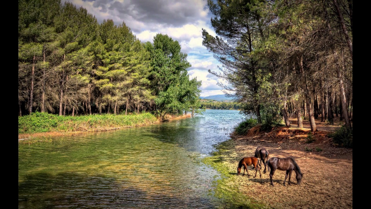 Brian Hardin - Serenity - YouTube