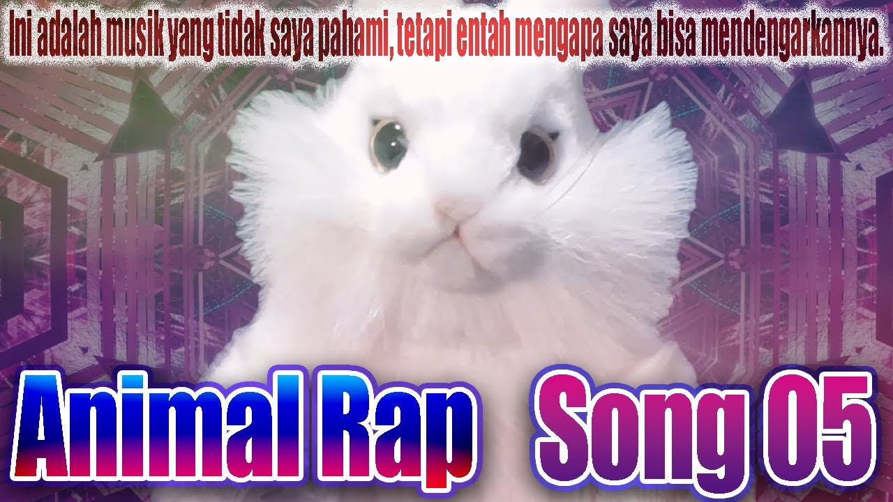 Animal Rap Song05 Versi bahasa Indonesia - YouTube