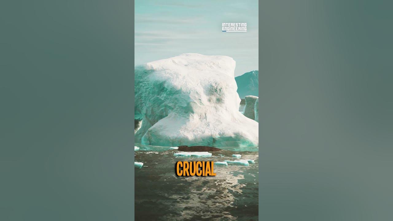 Mystery Under Ice: The Disappearance of Ran AUV - YouTube