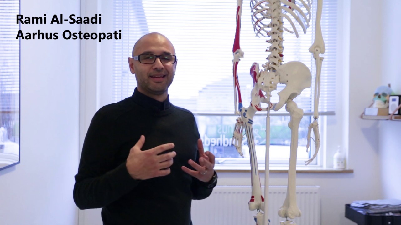 Iskias - Iskiassmerter - Årsager og Behandling - Aarhus Osteopati og ...