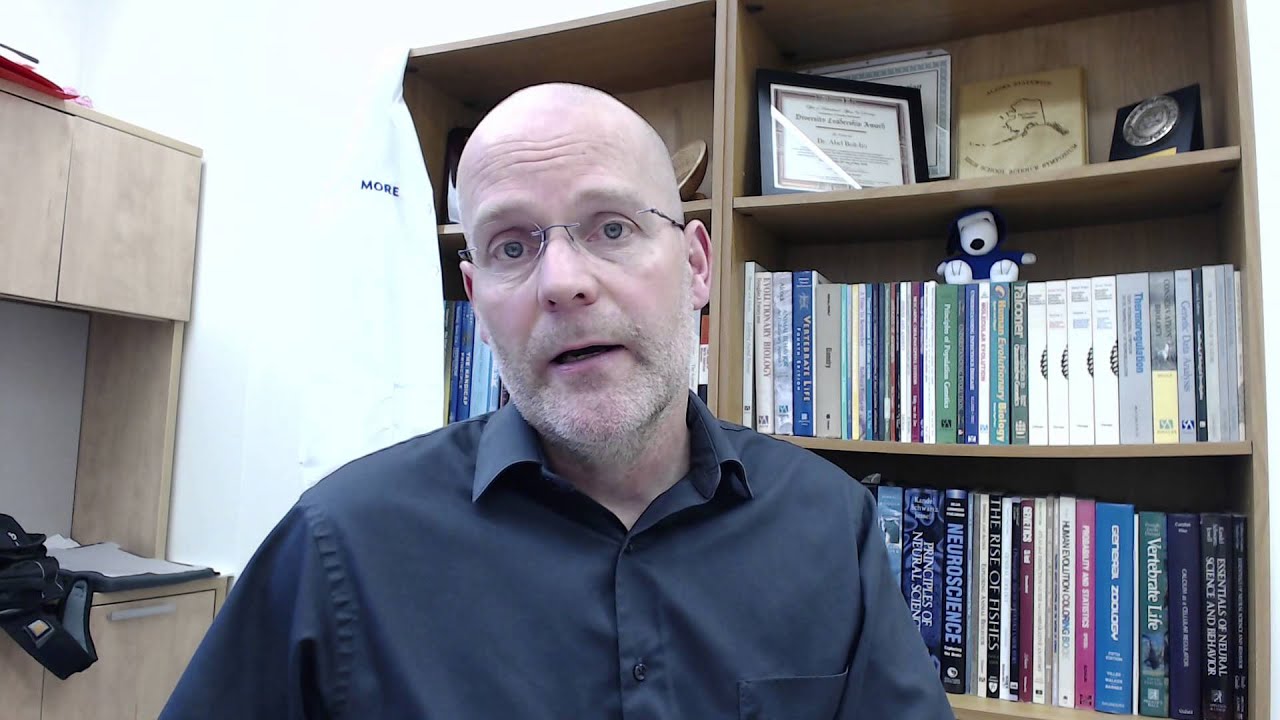 Module 8.1 – Open Field Test Data Analysis - YouTube