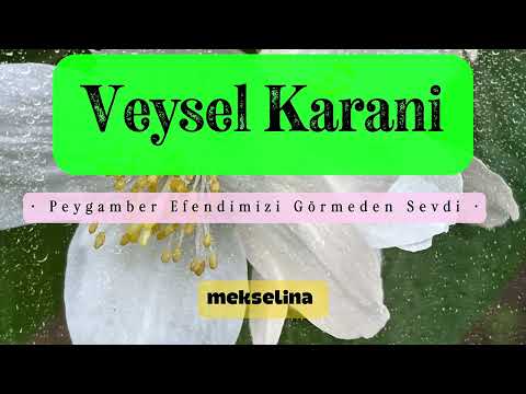 Veysel Karani (Uways Al-Qarani) 🤍 Kalplere Şifa İlahi • mekselina 