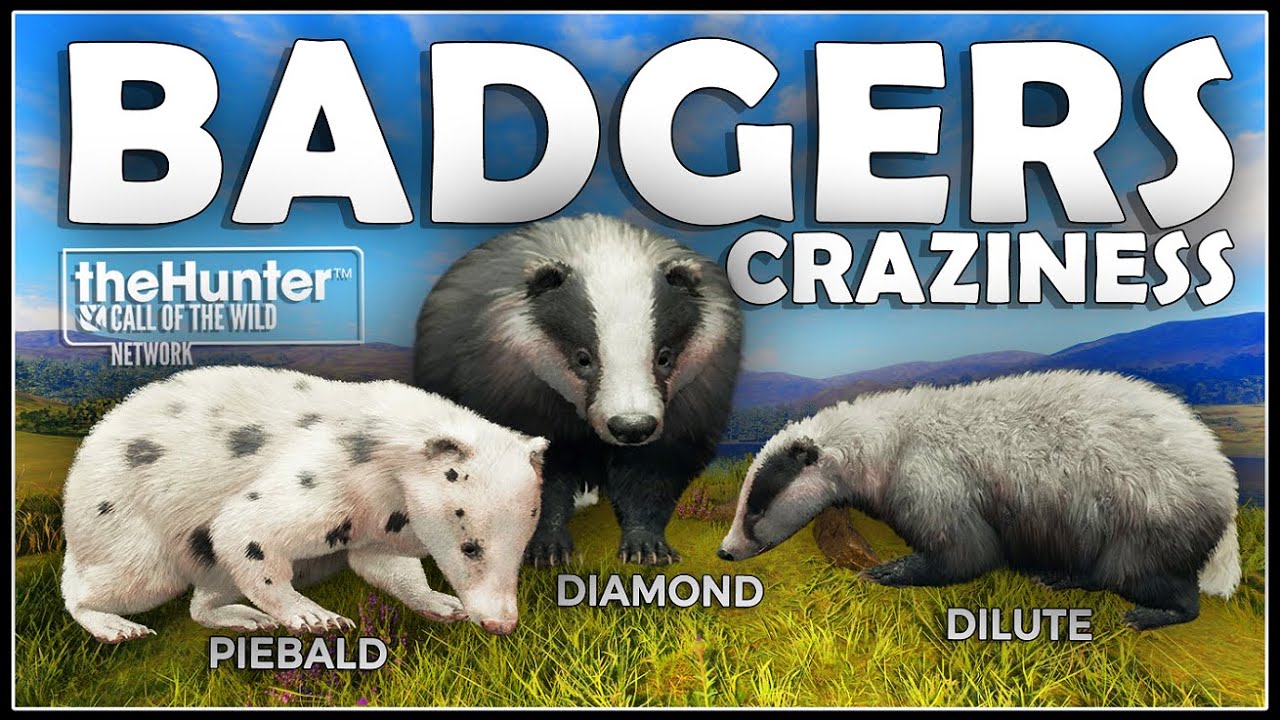 I Found a PIEBALD BADGER and MORE in SCOTLAND! (Early Access) - YouTube