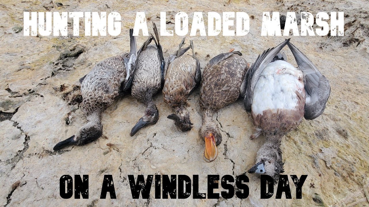 HUNTING A LOADED MARSH ON A WINDLESS DAY - NEBRASKA DUCK SEASON 2022 ...
