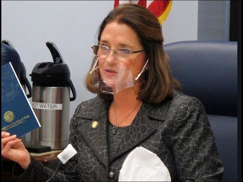 Alaska senator Sen. Lora Reinbold drives, takes ferry after airline ...