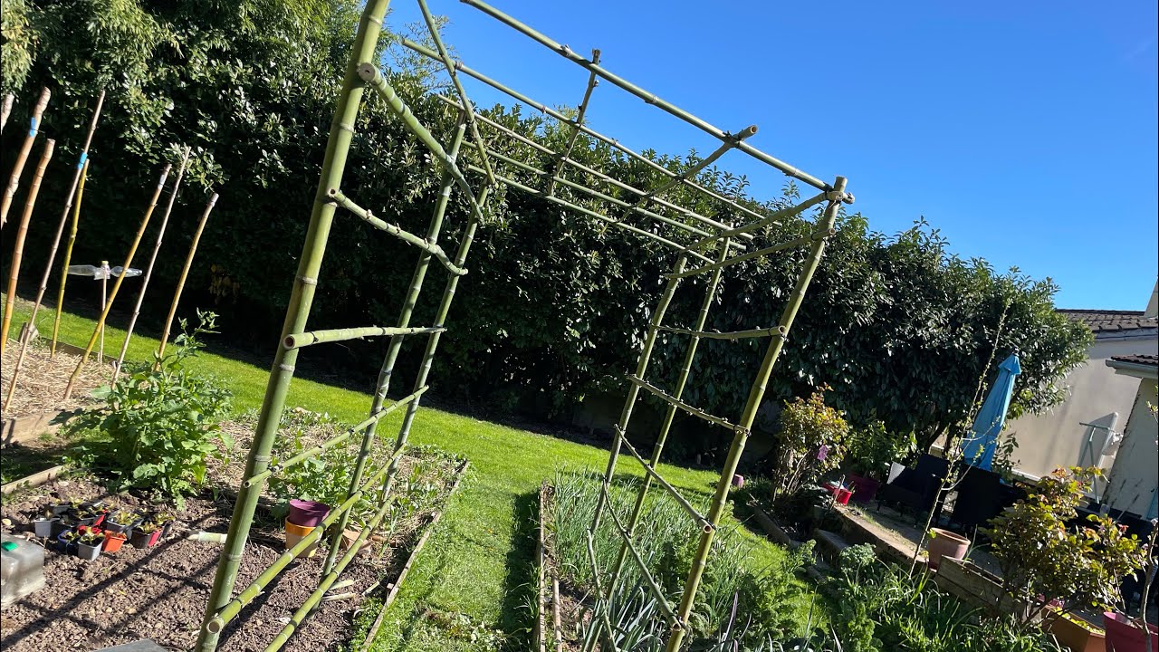 Structure en bambou et potager début avril 2023 - YouTube