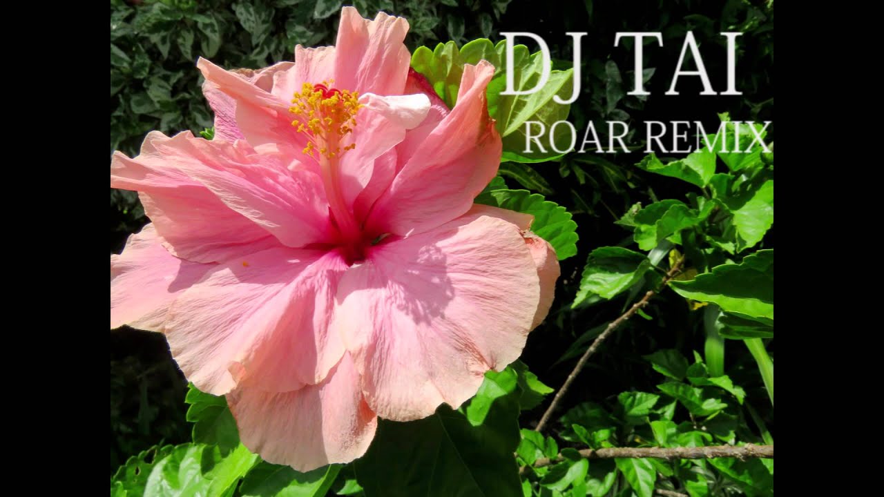 Dj Tai - remix ROAR - YouTube