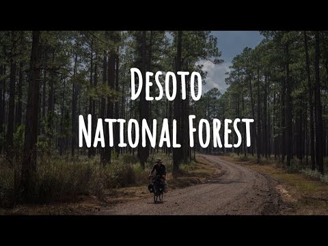 vlog #4 — Desoto National Forest - YouTube