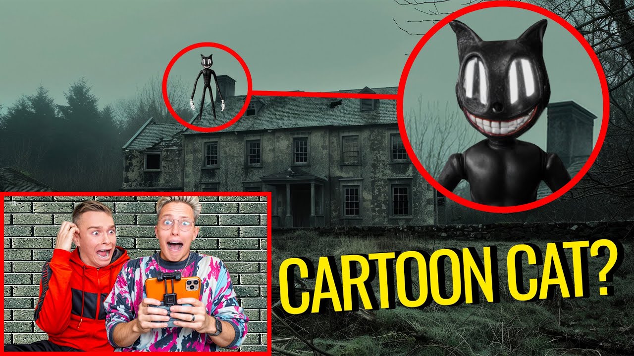 My DRONE caught CARTOON CAT on camera!! (WE FOUND HIM!) - YouTube