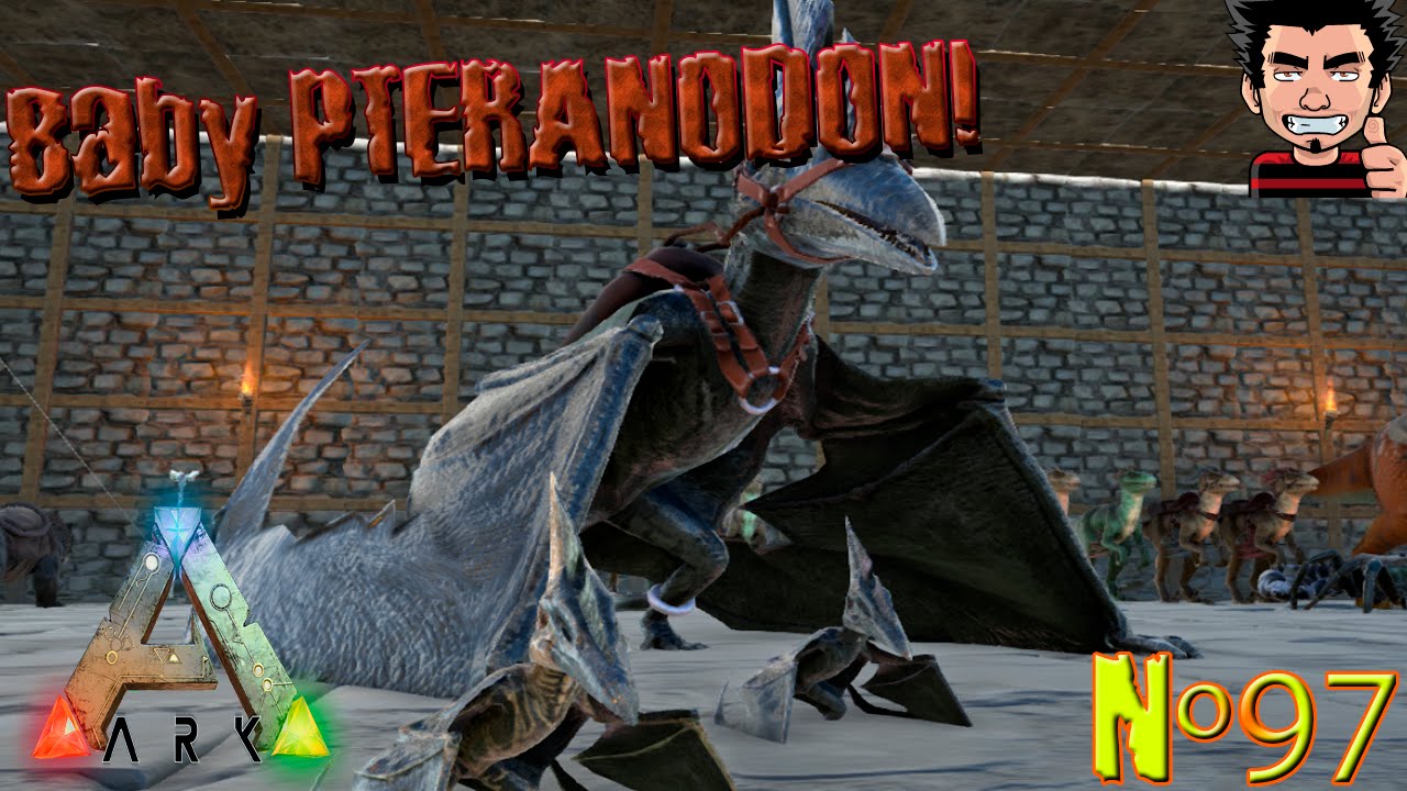 ARK Survival Evolved criamos Pteranodon baby nuevas crias en casa ...