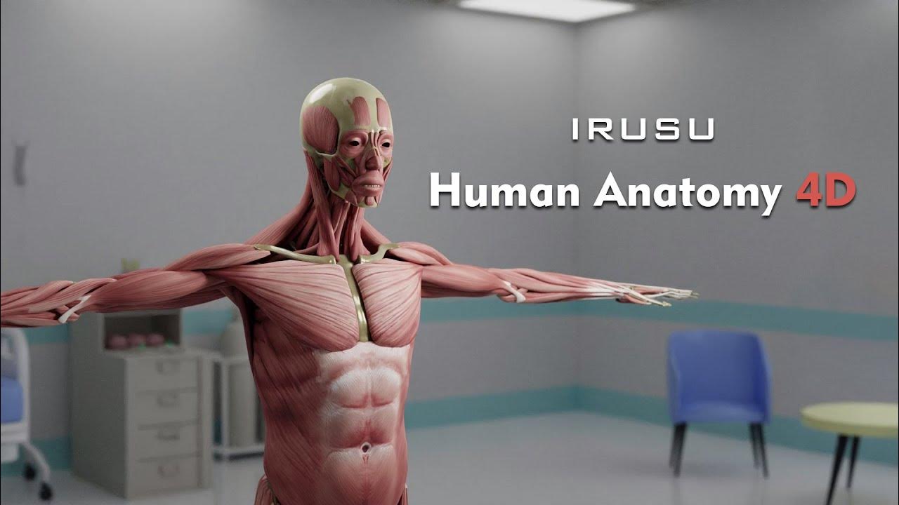 Explore the Human Body in Virtual Reality with Irusu VR Anatomy App ...