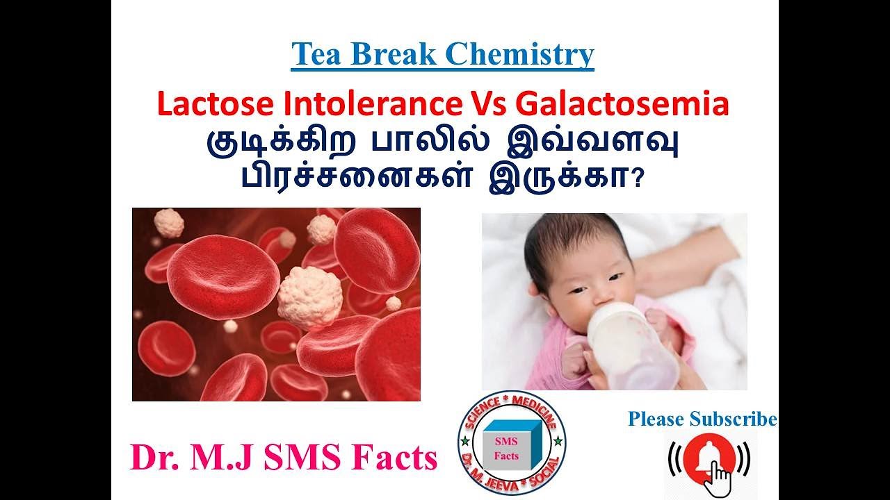 Organic Chemistry What Is Structure Of Lactose