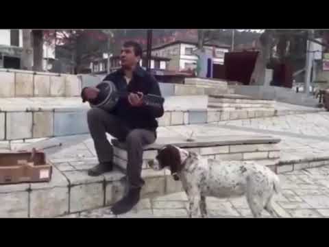 Sevemedim karagözlüm :))