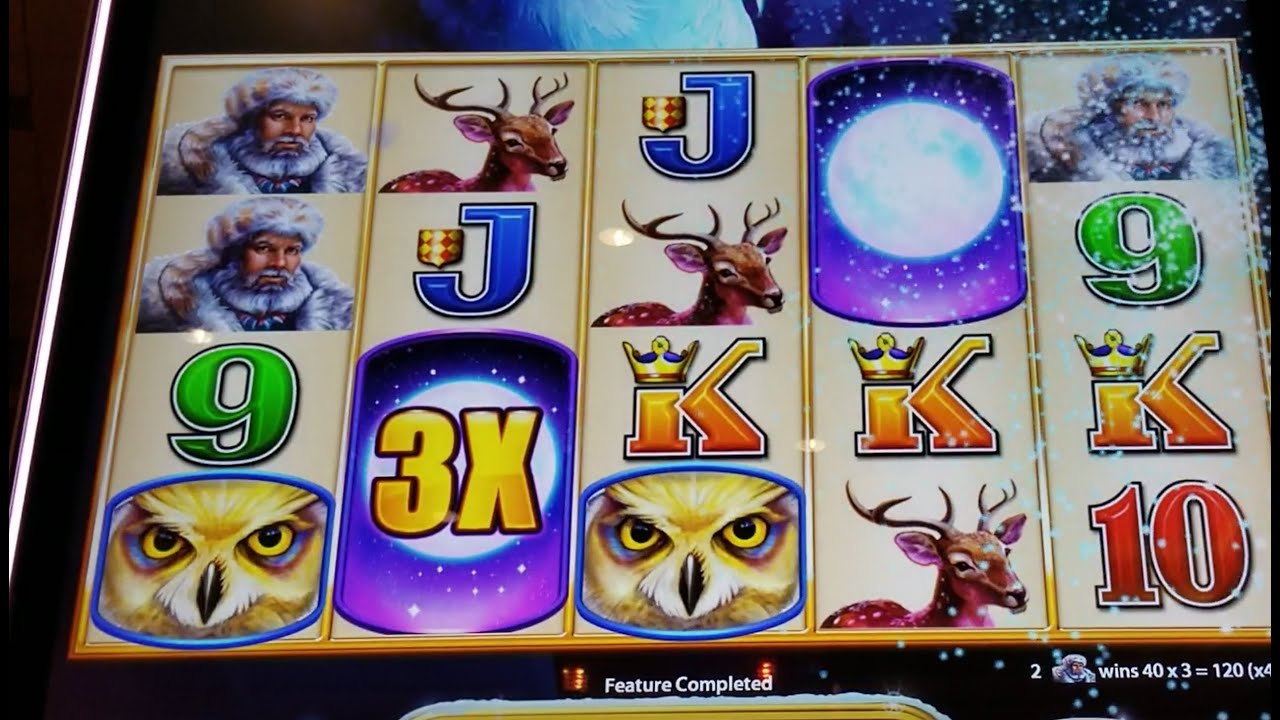Timber Wolf Xtreme! Bonus Win - YouTube