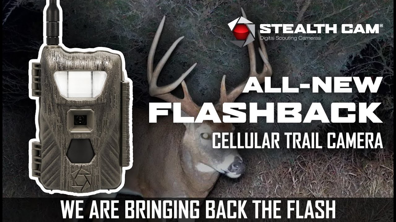 Introducing the All-New Stealth Cam Flashback Camera | New for 2024 ...