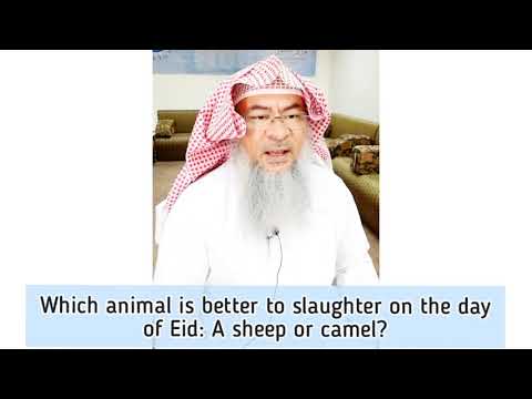 Which animal is better to sacrifice for Eid (Qurbani/ Udhiyah): Camel, Cow or Sheep? - Assimalhakeem