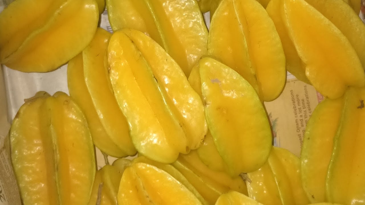 Star Fruit | स्टार फ्रूट | Kamrak | (अमरक) - YouTube