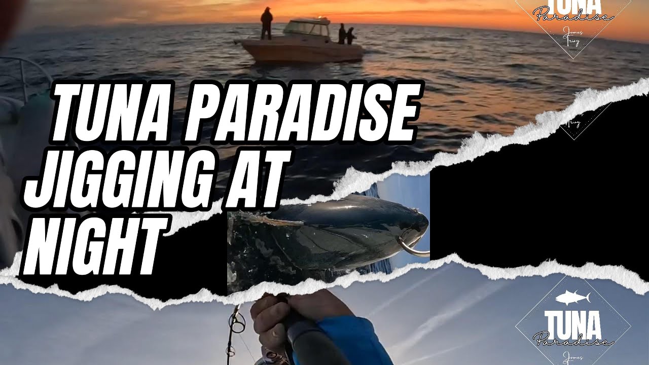 Tuna Paradise Jigging at Night, Gibraltar, Mediterranean Sea. Amazing ...