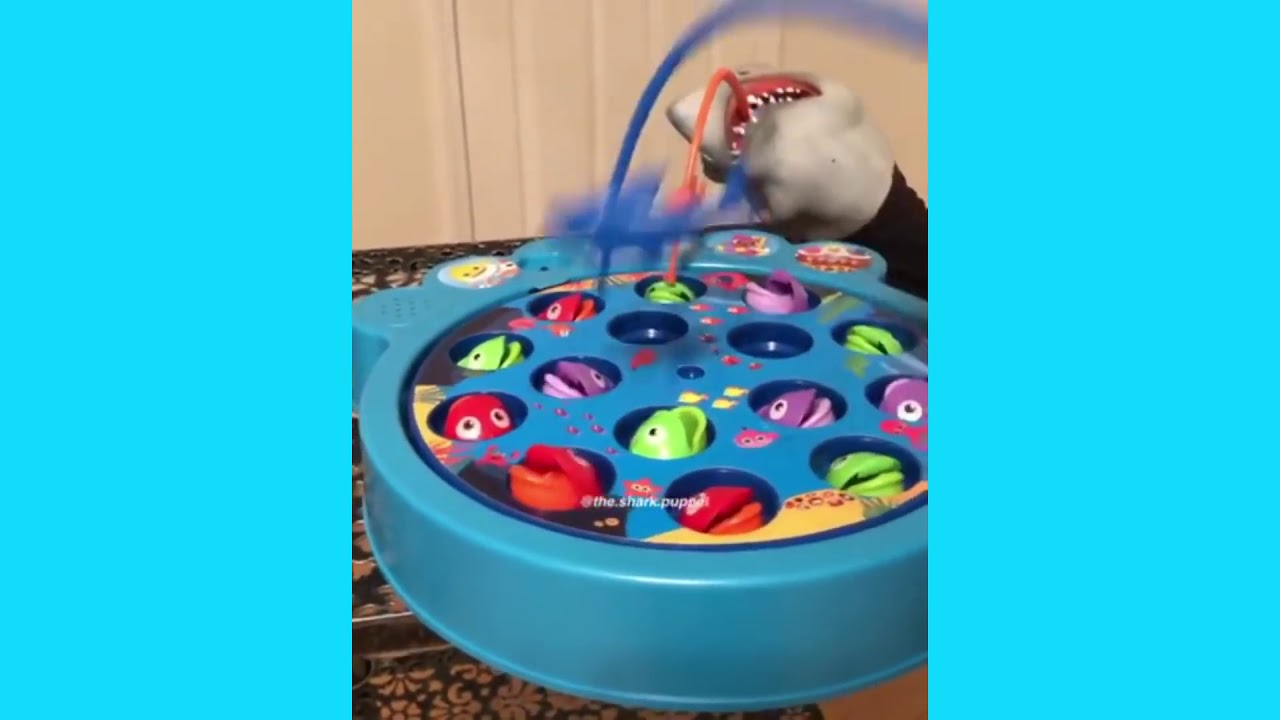 SHARK PUPPET COMPILATION - YouTube