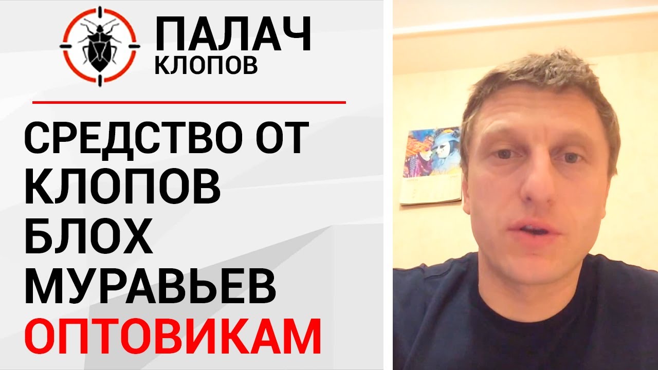 Средство от клопов Палач оптом от производителя - YouTube