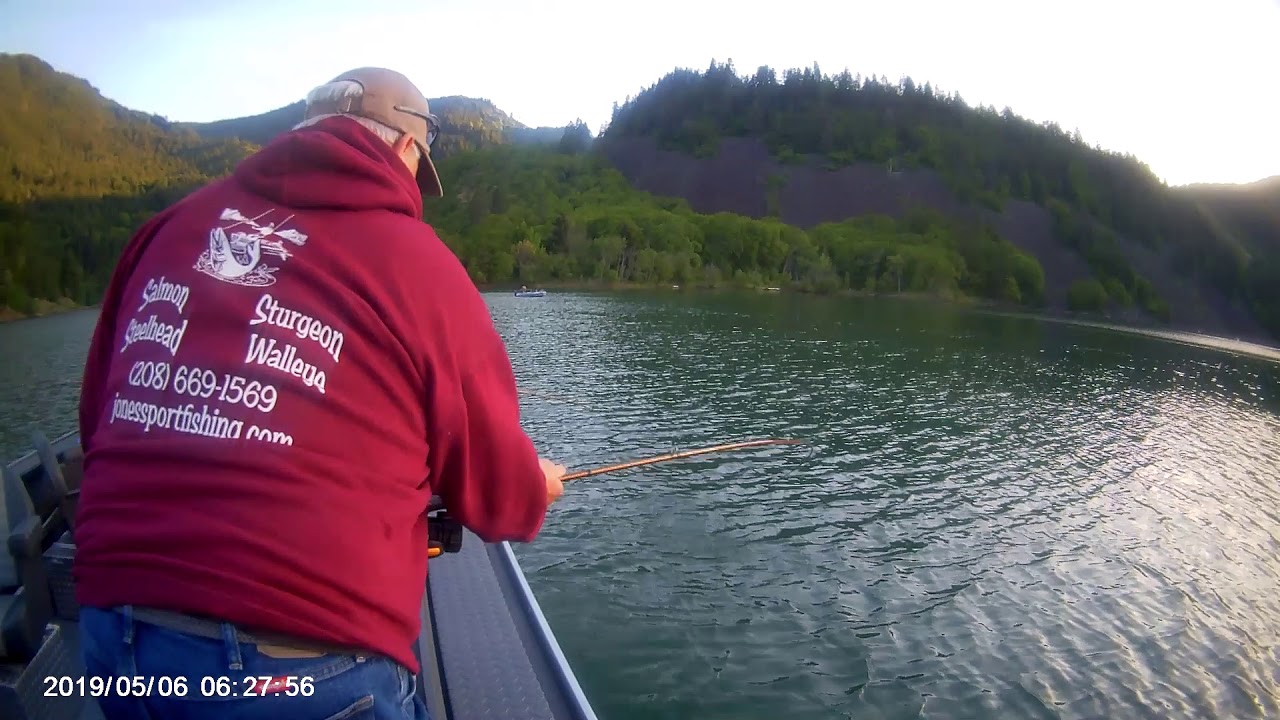 Drano Lake Spring Chinook Takedowns - YouTube
