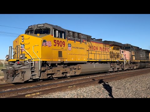 Southern Pacific 6314 & KCS Grey Ghost | 65mph UP intermodel trains ...