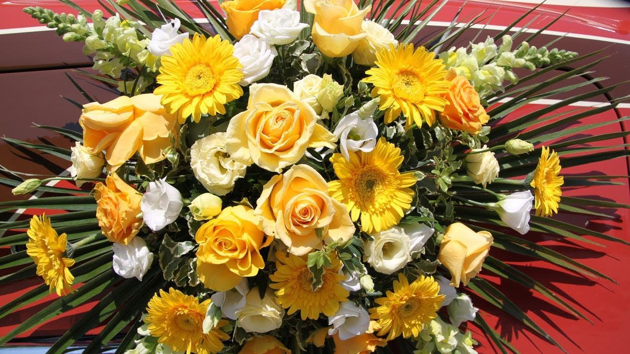 18 Yellow Roses - Marty Robbins: with Lyrics(가사번역) - YouTube