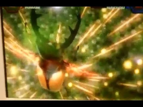 ムシキングバトル 合虫ガッツ Gacchu Guts - Burmeisteri Stag Beetle - YouTube