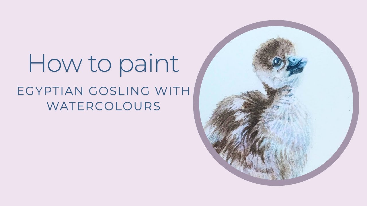 How to paint a Fluffy Egyptian Gosling with Watercolours - YouTube