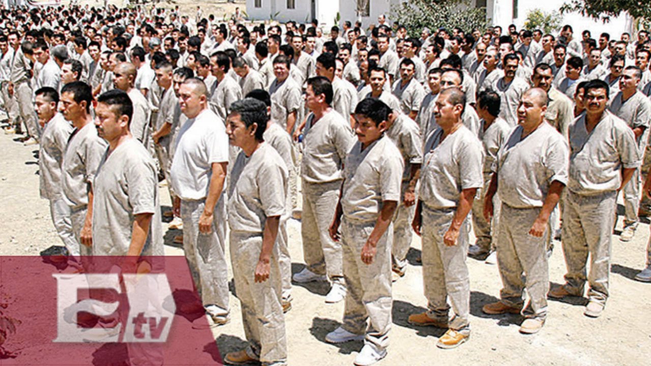 Cárceles de México tienen sobrepoblación de 64 mil reos / Todo México ...