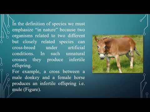 Species : The Basic Unit of Classification - YouTube