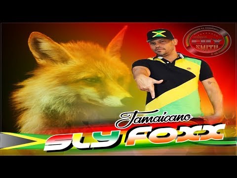 MELÔ DA NOVINHA - SLY FOXX 2019
