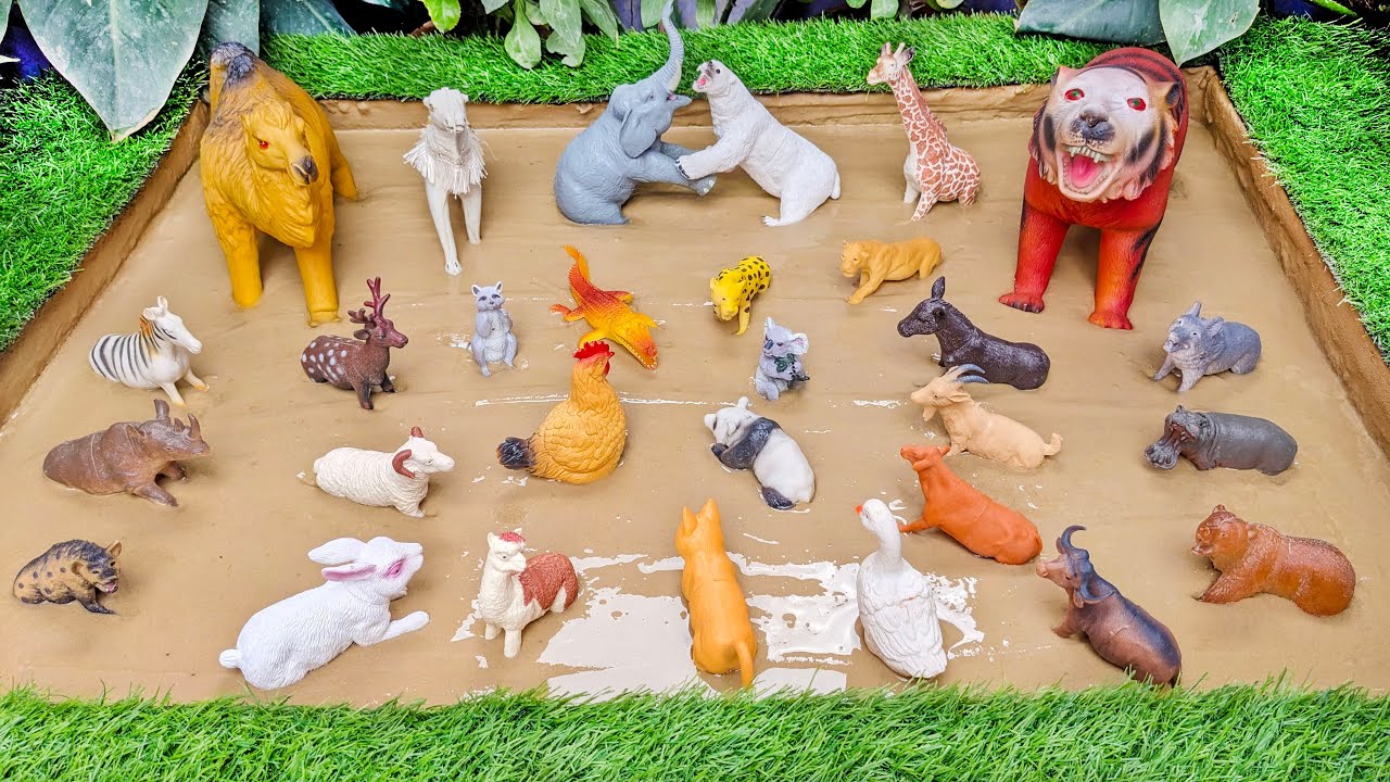 Boggy Bounders: Domestic Camel, African Elephant, and Zoo Animals Brave ...