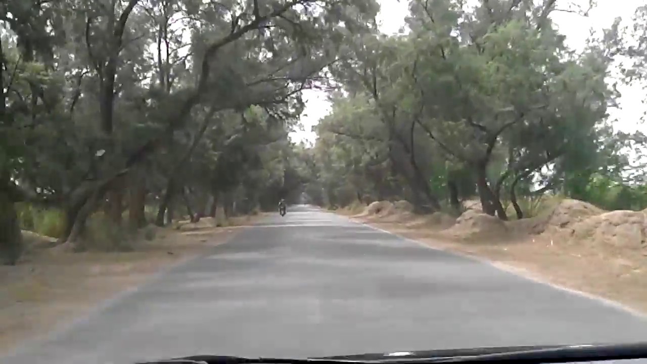 Noor pur Thal Trees Tunnel - YouTube